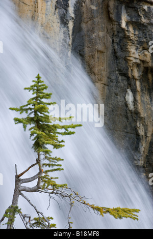 Cascade on Nigel Creek, Banff National Park, Alberta, Canada, North ...