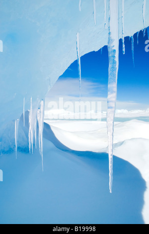 Antarctica, Weddell Sea, Snow Hill Island, Snow Hill colony. Emperor ...