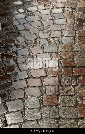 Textured cobblestone pathway with varied colors and patterns in an ...