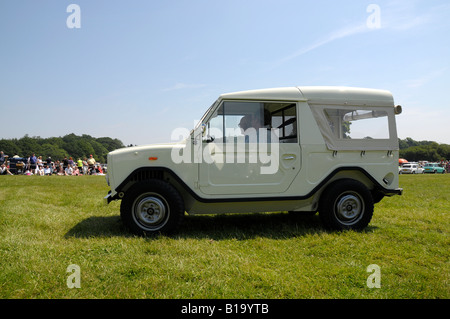 Austin Mini Ant Stock Photo - Alamy