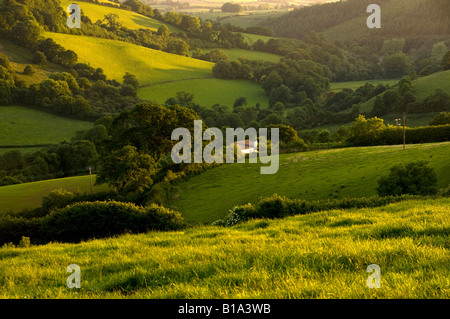 Countryside near Ashprington. Devon Uk Stock Photo - Alamy