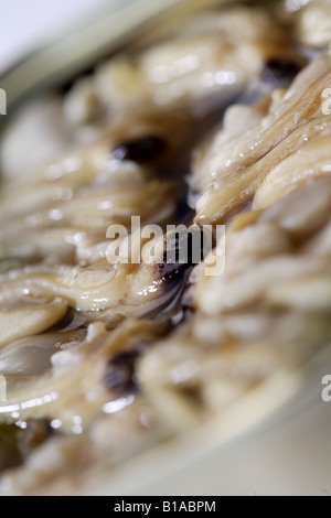 Close-up of canned clams (vertical Stock Photo - Alamy
