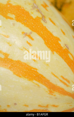 Pumkin skin close up Stock Photo - Alamy