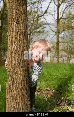 Young boy looking round tree Stock Photo - Alamy