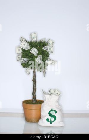 Business concept: growing money in the flowerpots on table Stock Photo ...