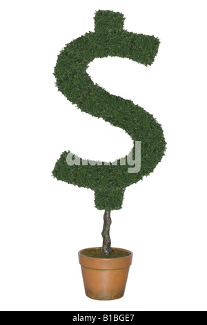 Topiary tree financial symbol Dollar sign Stock Photo - Alamy