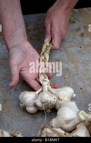 person tying a garland of garlic series Stock Photo - Alamy