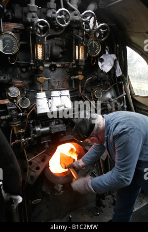 Stoking fire on steam engine. Bluebell Railway, East Sussex Stock Photo ...