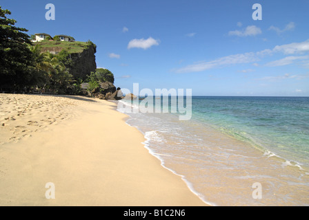 Grenada Carribean Magazine beach sandy beach footsteps coast sea ...