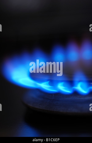 LIGHTED GAS BURNER ON DOMESTIC RANGE COOKER Stock Photo - Alamy