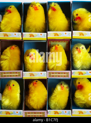 Now we know what battery hens feel like - chickens hens overcrowded ...