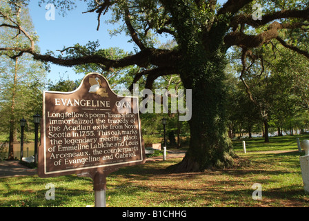 Louisiana, St. Martinville, Evangeline Oak Park, Evangeline Oak Tree ...