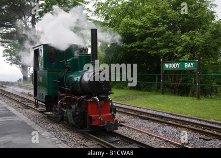 Exmoor Steam Railway, Exmoor National Park, Devon, England, United ...