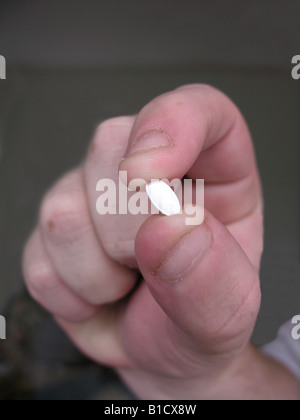 Lipitor tablets known as statins atorvastatin calcium trihydrate lipid ...