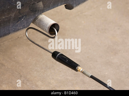 exhaust emissions test equipment being used during an MOT check for a ...