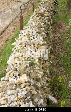 A traditional farm wall made of stone and earth know as a cornish hedge ...