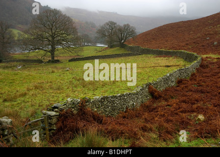 Stone fence curve near Rydal Water Stock Photo - Alamy