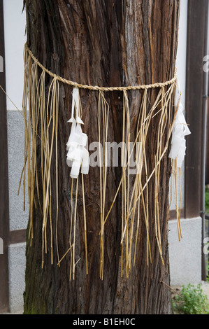 Shimenawa rice straw rope at sacred area Hakozaki Shrine in Fukuoka ...