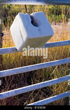 Mineral block for cattle Stock Photo - Alamy