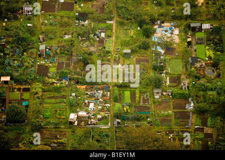 An aerial view of allotments Stock Photo - Alamy