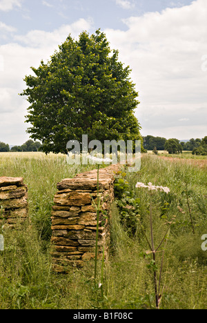 Traditional Mendip Dry Stone Wall Stock Photo - Alamy