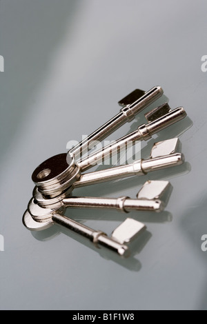 Mix of union key blanks, uncut, keys key symbol of security safety ...