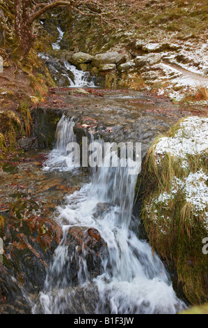 UK Wales Powys Rhayader riverside path beside River Wye Stock Photo - Alamy