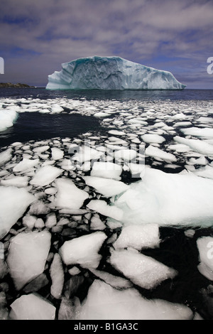 Shattered ice fragments from an iceberg float on the ocean's surface ...