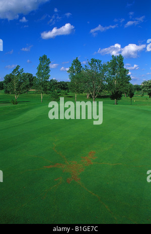 Green lightning bolts electrical current moving wildly across a black ...