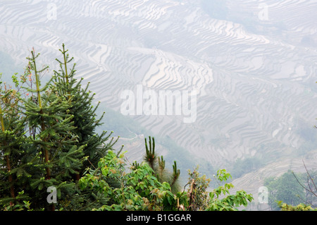 Panoramic view of Yuanyang rice terraces at the sunset (Yunnan, China ...