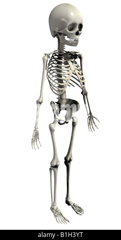 anatomy child skeleton Stock Photo - Alamy