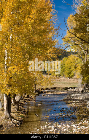 A stream lined by trees during a Fall hike in Cold Spring, NY Stock ...