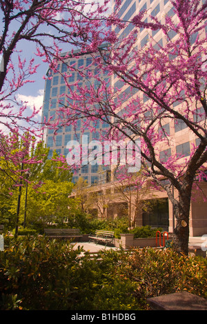 Gallivan Center in downtown Salt Lake City Utah Stock Photo - Alamy