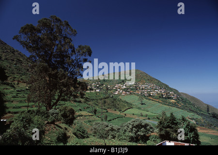 Panoramic view of a rolling landscape, Kalhatty Slopes, Nilgiris ...