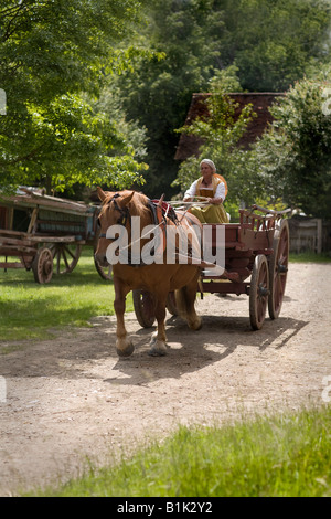 Olden times cart Stock Photo - Alamy