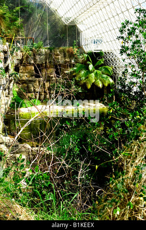 Image looking down and into the Biosphere-2 research center in Arizona ...