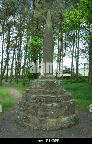Percy's cross, Battle of Otterburn memorial, Northumberland Stock Photo ...