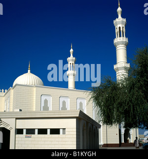 United Arab Emirates / Al Dhaid / Camel Race Track in Central Region of ...