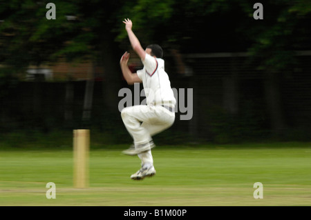 cricket, bowler in action Stock Photo - Alamy