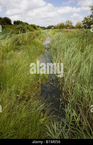 Drainage channel Newport Wetlands Gwent Wales UK Stock Photo - Alamy