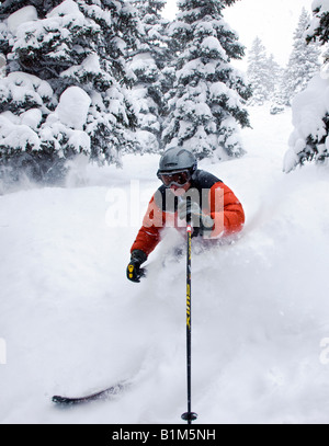 skiing on fresh snow at winter season at beautiful sunny day Stock ...