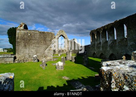 Roscommon Dominican Friary Ireland National Monument Historic Site ...