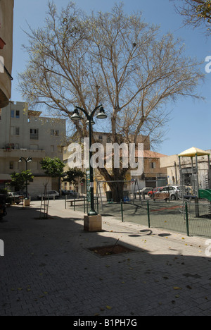 Israel Jaffa Tirtza street Stock Photo - Alamy