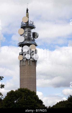 Heaton Park BT Tower, Manchester, UK Stock Photo - Alamy
