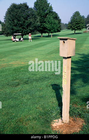 golf bird house Stock Photo - Alamy