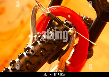 The front part of the bicycle is red-wheel, wheel and frame close-up ...
