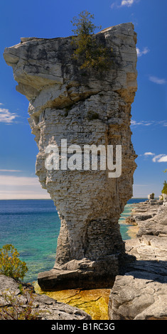 Small 'flowerpot' (sea stack) in morning light, Flowerpot Island ...