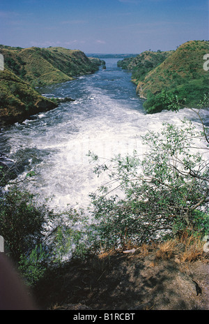 Looking down Nile River from top of Aswan High Dam, River Nile, Aswan ...