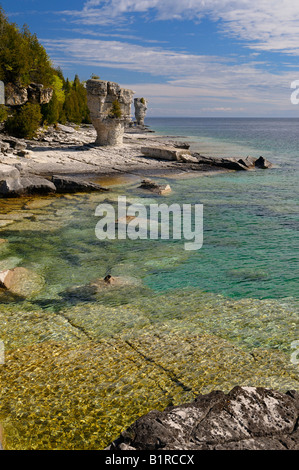 Small 'flowerpot' (sea stack) in morning light, Flowerpot Island ...