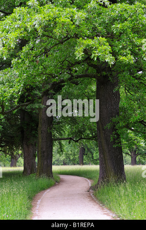 Rosensteinpark, Stuttgart, Baden-Wuerttemberg, Deutschland, Germany ...